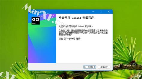 goland 2024破解版 jetbrains goland 2024 go语言集成开发环境 软件先锋