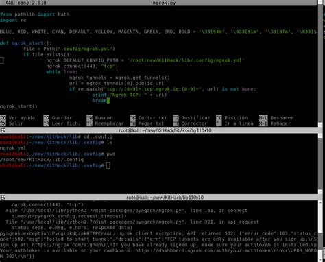 Python Why Doesn T Pyngrok Detect My Config File Stack Overflow