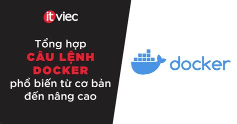 Tổng Hợp Docker Command Phổ Biến Từ Cơ Bản đến Nâng Cao Itviec Blog