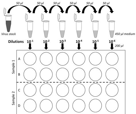 Cell Titration Assay At Sarah Plank Blog