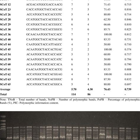 Pdf Start Codon Targeted Scot Polymorphism Reveals Genetic Diversity In European Old Maize