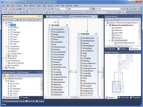 Entity Developer Overview
