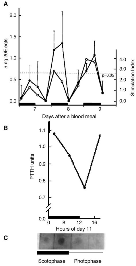 A Relative Levels Of Ptth Activity Present In The Hemolymph At Days Download Scientific