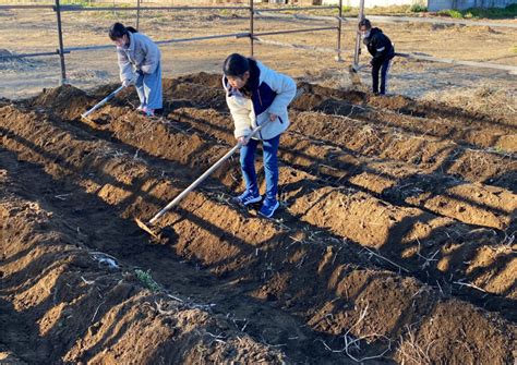 Quyana Farmandcafe Quyana