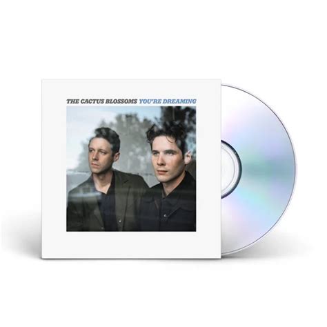 Youre Dreaming Cd Ambient Inks