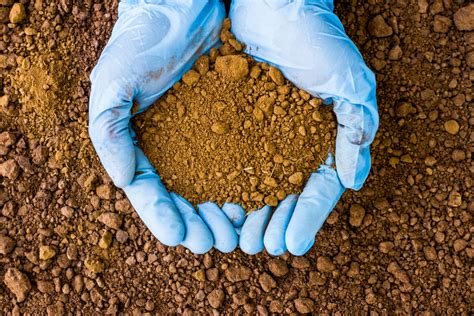 Facts About Soil Contamination Alpha Environmental