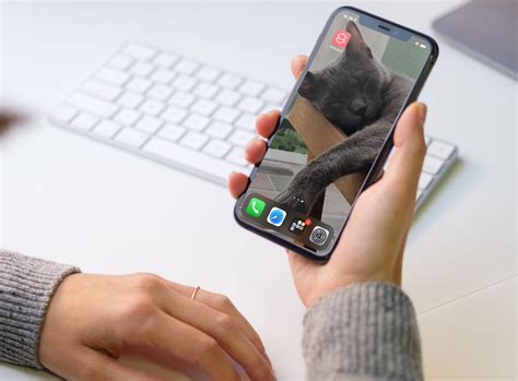 如何一键更改 Iphone 或 Ipad 壁纸