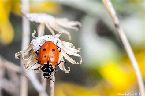 Sex In The Desert At Desert Harbor Off Center Not Even