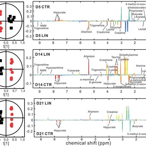 Opls Da Score Plots Left Panel And The Correlation Coefficient Download Scientific Diagram