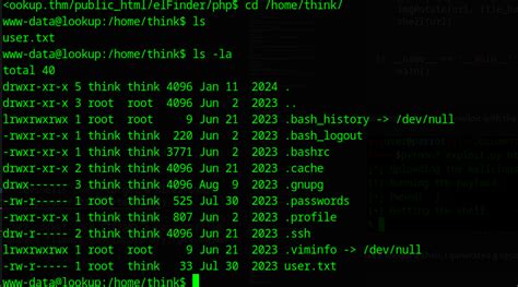 Lookup TryHackMe Walkthrough Blog