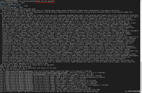 【ubuntu】e the method driver usr lib apt methods could not be