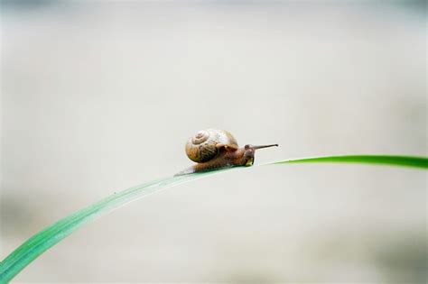 Javascript Factory Functions With Es6 By Eric Elliott Javascript