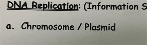 Solved Dna Replication Information Sa ﻿chromosome