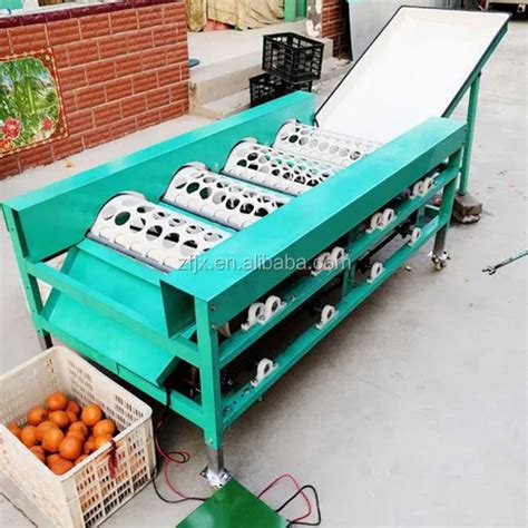 Automatic Grader Mango Fruit Grading Machine Oranges Lemon Sorting Machine