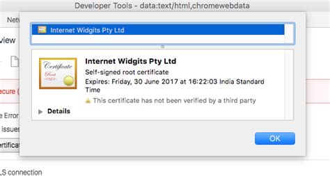 Data Text Html Chromewebdata