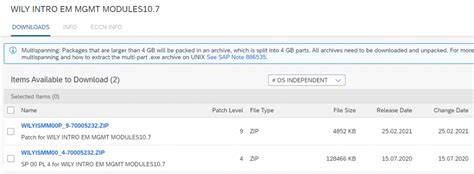 Willy Introscope Install Or Update To Version 10 7 0 323 Sap Basis World