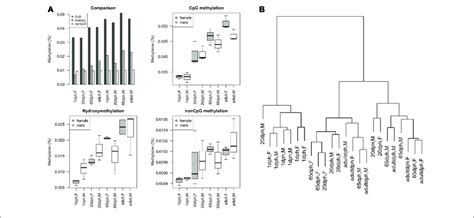 Overview Of Reduced Representation Bisulfite Sequencing Rrbs Download Scientific Diagram