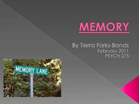 Memory Ppt
