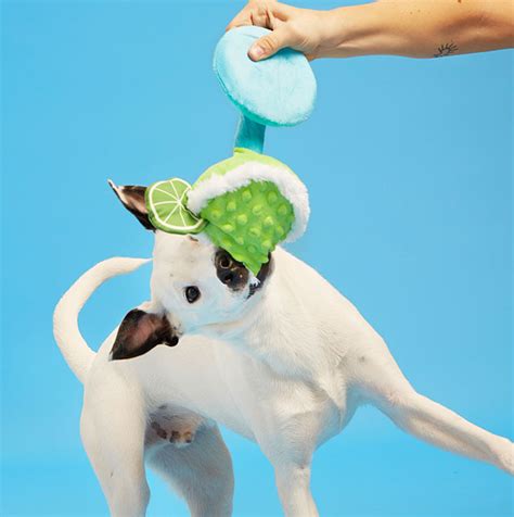 Margarita Plush Dog Toy