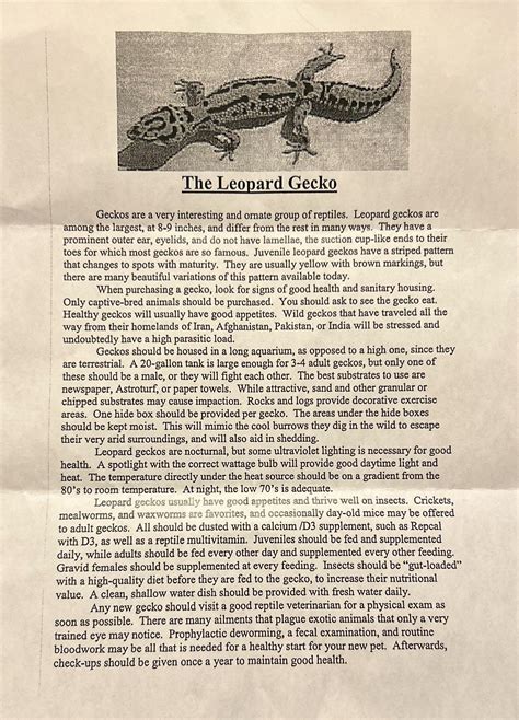 Accuracy R Leopardgeckos