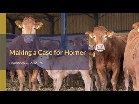 Making A Case For Horner Part 8 Livestock And Wildlife Niladree Mohapatra