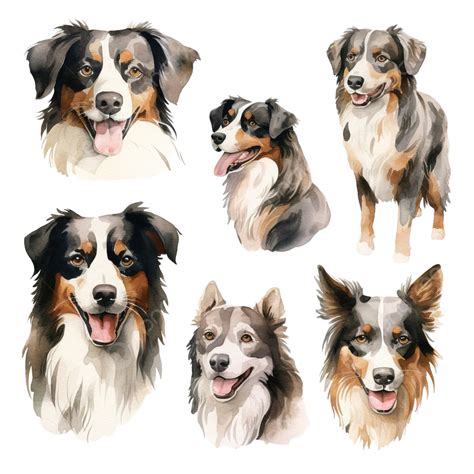 قصاصات فنية من الكلب بالألوان المائية ألوان مائية حيوان أليف كلب Png