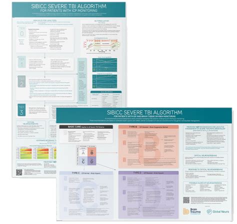 Sibicc Severe Tbi Algorithm For Patients With Icp Monitoring 2019