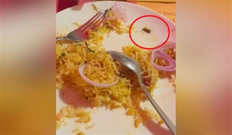 Dead Cockroach Found In Biryani At Jubilee Hills Bbq Restaurant Ghmc