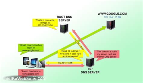 Root domain là gì Thiết Kế Web Số