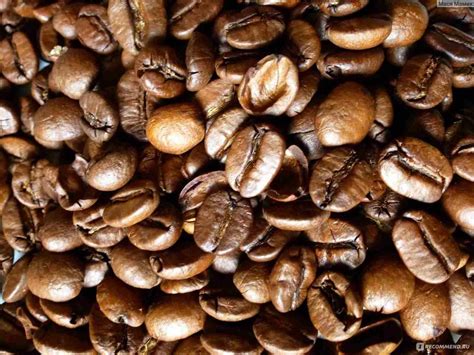Эфиопия Гуджи в Москве - заказать свежий кофе с доставкой | Coffee Planet