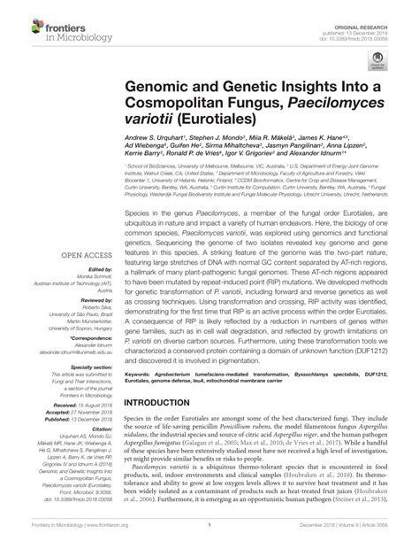 Pdf Genomic And Genetic Insights Into A Cosmopolitan Fungus Paecilomyces Variotii Eurotiales