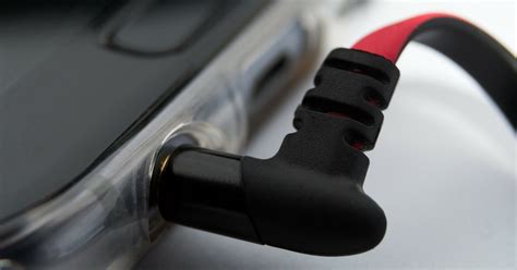 Секс в тексте о компании madcats ru