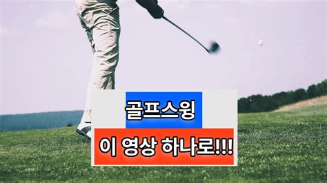 골프지도사 실전 스윙 모음 Youtube