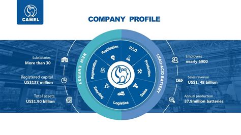 Camel Group Co., Ltd | Solar Components | China