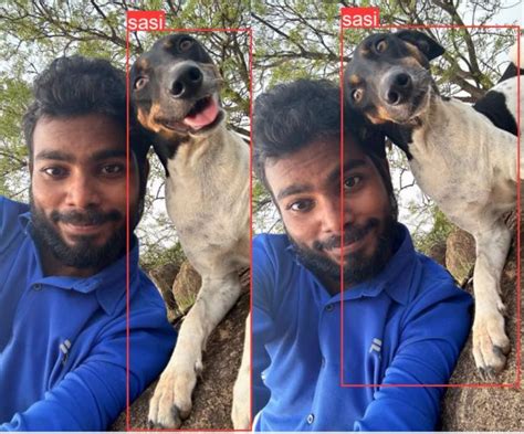 Ariharasudhan S On Linkedin Yolo Imageprocessing Computervision Deeplearning Machinelearning
