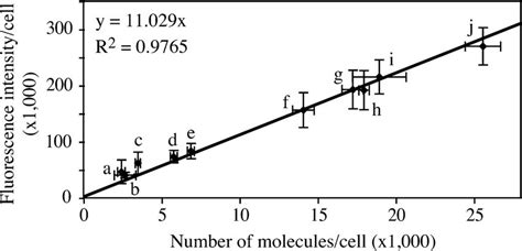 Linear Relationship Between Gfp Tagged Protein Amount And Fluorescence Download Scientific