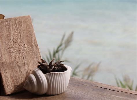 43 Creative Succulent Planter Ideas For Indoor Or Outdoor