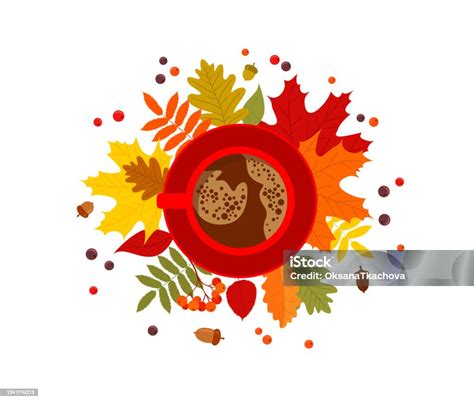 흰색 배경에 여러 가지 빛깔의 단풍 열매와 도토리와 붉은 커피 컵 플랫 벡터 일러스트레이션 0명에 대한 스톡 벡터 아트 및 기타 이미지 Istock