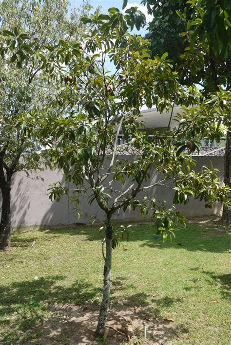 Ciku Urban Biodiversity Initiative Ubi