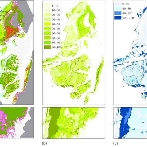 11 Examples Of Remotely Sensed Maps Of Seagrass Species A Percentage Download Scientific