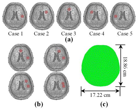 Fast Iterative Shrinkage Thresholding Algorithm With Continuation For