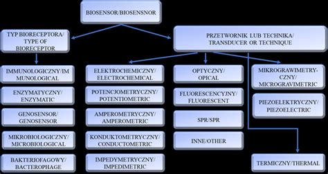 Classification Of Biosensors Based On The Type Of Bioreceptor And Download Scientific Diagram
