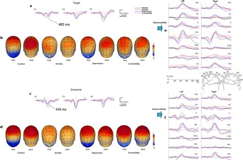 erp waveforms topographic erp maps and source activities in target and