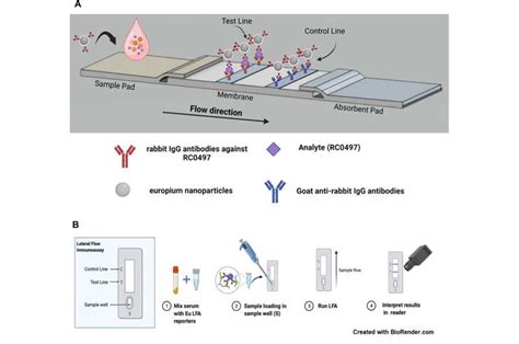 Rapid Antigen Based Assay Can Detect Tick Borne Diseases Before Symptoms Arise Start Medical