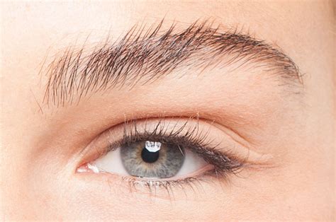 How To Curl Lashes The Right Way Beautylish