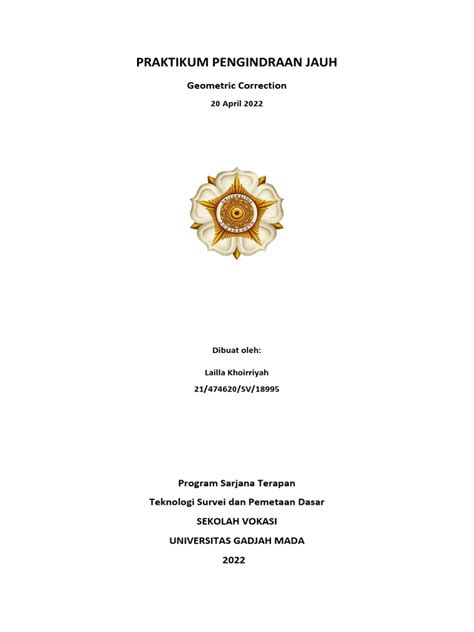 Geometric Correction Pdf
