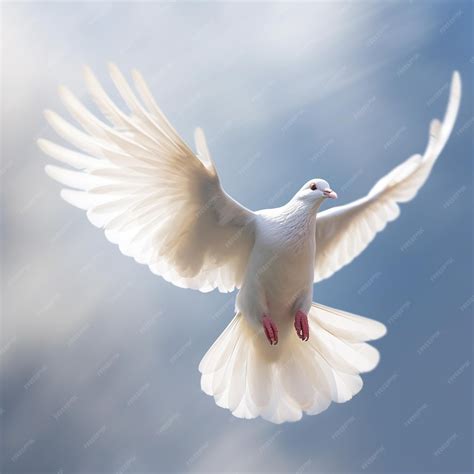 Premium Photo A White Dove Flying In The Sky With A Blue Sky In The