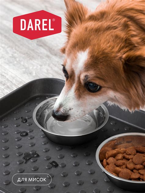 ЛОТОК ДЛЯ ОБУВИ БОЛЬШОЙ — Darel