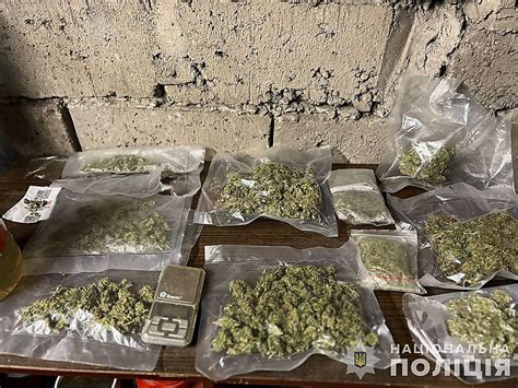 Полиция провела обыски в 19 областях Украины и изъяла наркотиков на ₴150 миллионов