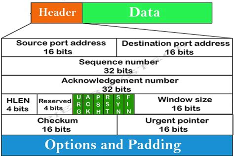 Tcp Header Diagram And Or The Tcp Connection Attack Tcp Sequ